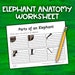 Elephant Anatomy Parts Elephants Parts of an Elephant Diagram Elephant ...