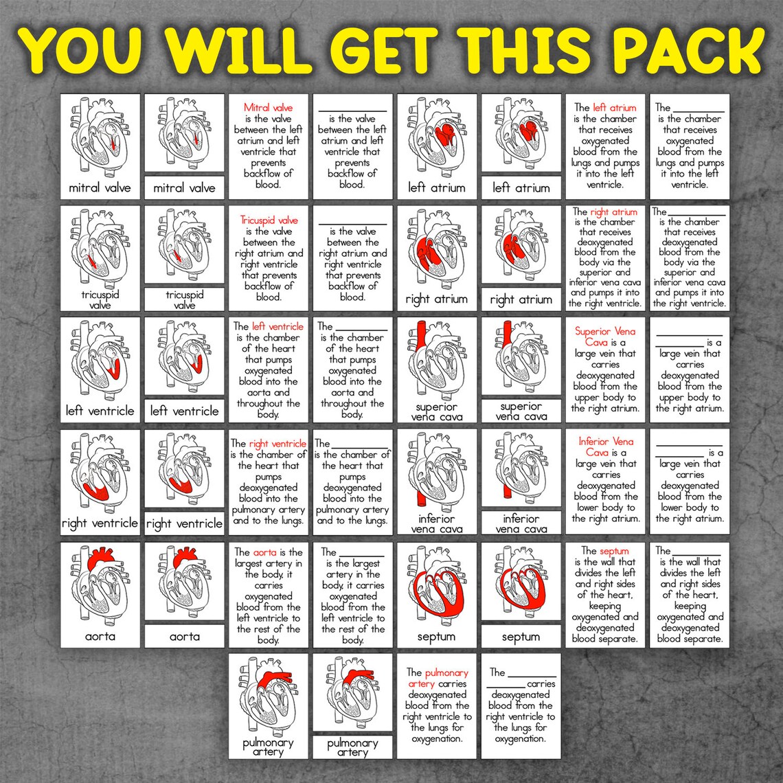 Human Heart Anatomy Parts Human Heart Nomenclature Cards Human Heart 3 ...