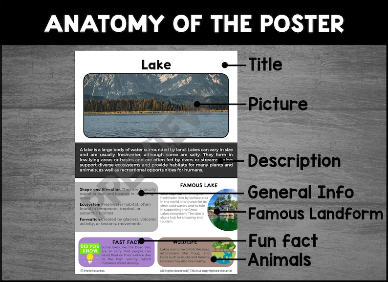 Bodies of Water and Landforms Body of Water Activity Geography ...