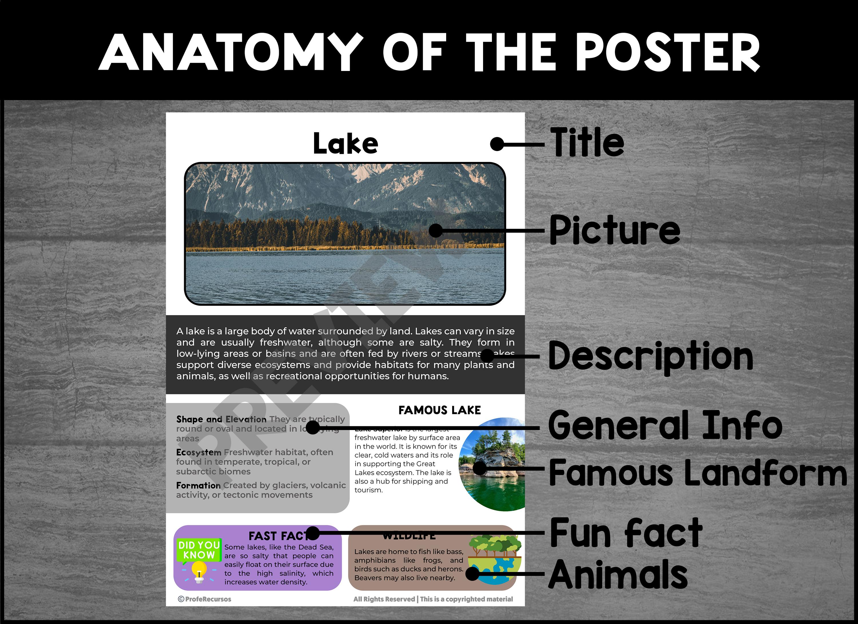 Bodies of Water and Landforms Body of Water Activity Geography ...