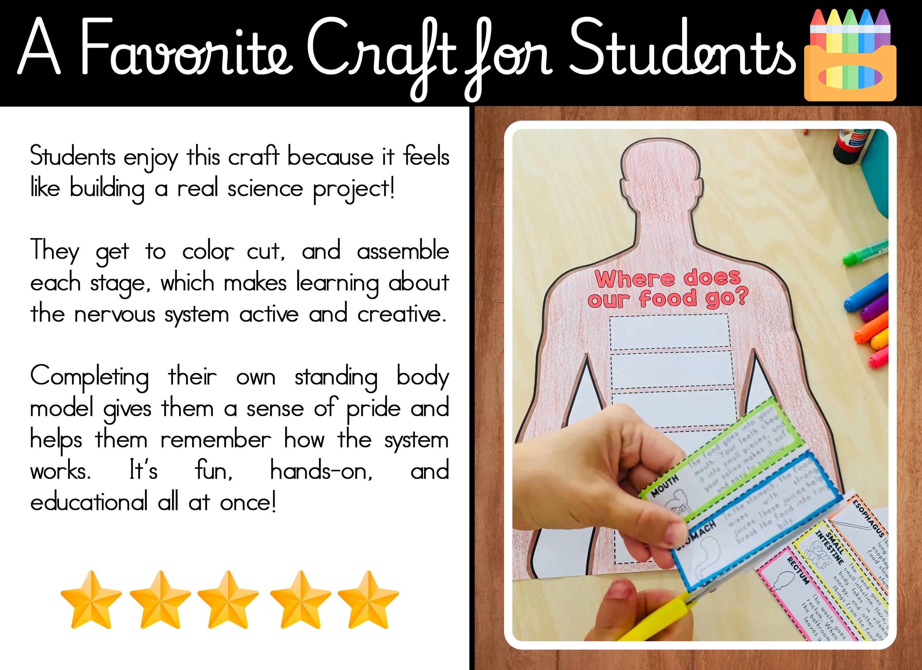 Nervous System 3D Craft | Human Body Science Activity | Printable ...