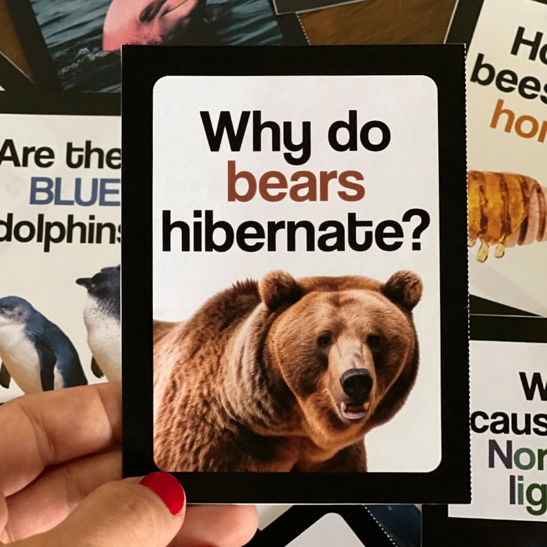 Spark Debate Cards 30 Task Cards for Conversation Debate Topics ...