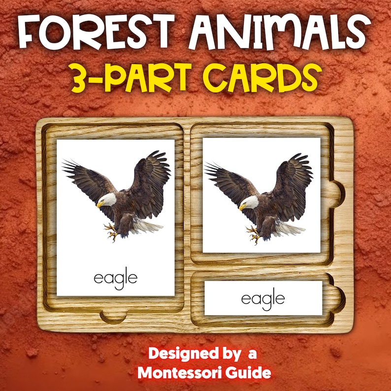 Forest Animals Flashcards | Montessori 3-part Cards | Forest Animals ...