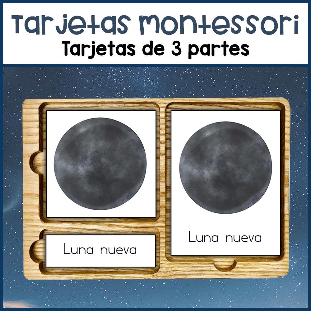 Moon Phases for Kids Moon Phases Flashcards Moon Phases and Space Solar ...