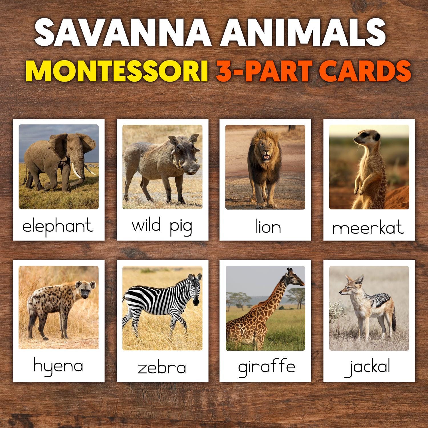 Savanna Animals | Montessori 3-part Cards | Montessori Animal ...