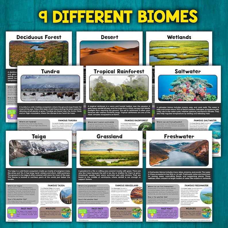 Biomes Information Posters | Reading Passages | Habitats of the World ...