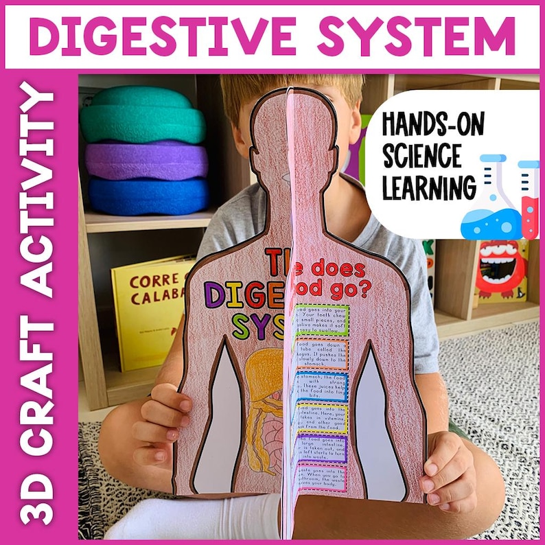 Human Body Systems Project Activity | Human Body 3D Diagrams Models Cut ...