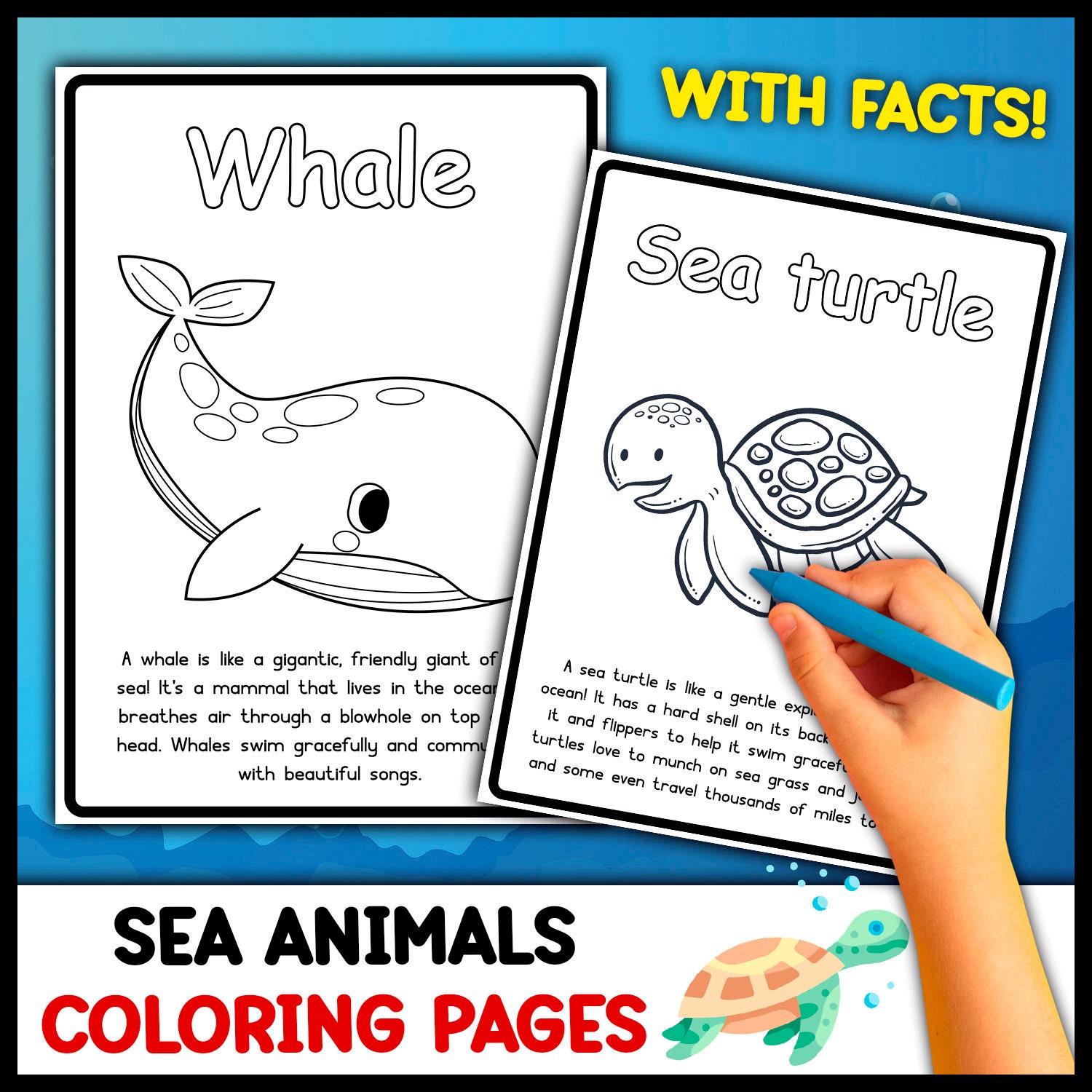 Sea Animals Coloring Pages Ocean Animals Coloring Pages Sea Animals for ...