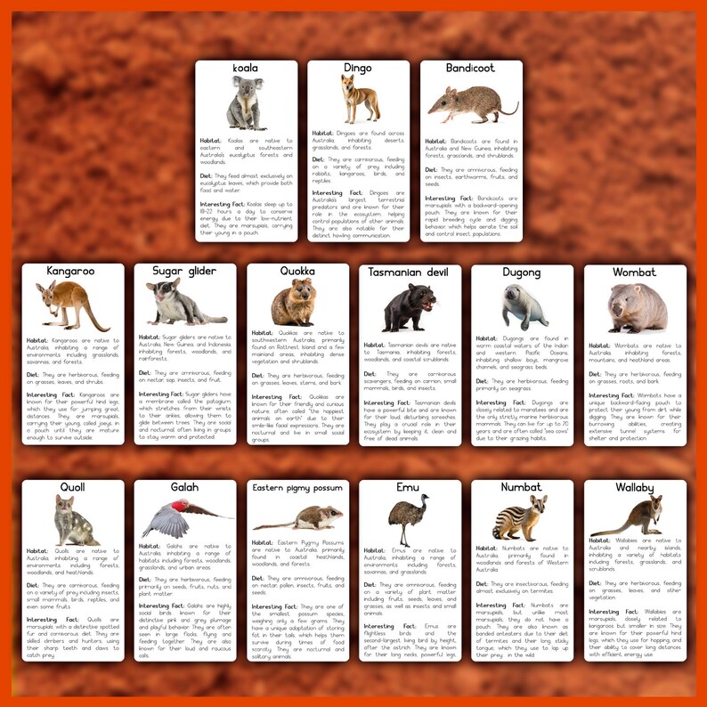 Australian Animals | Animals From Australia Flashcards | Animals From ...