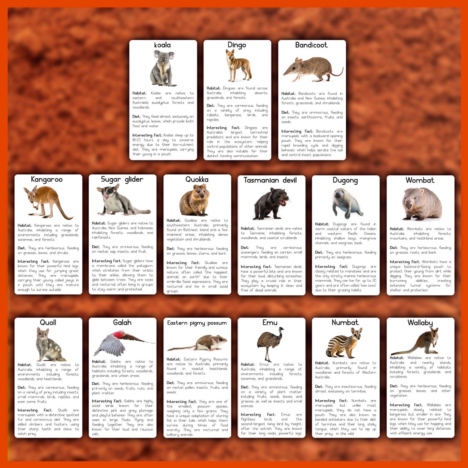 Australian Animals | Animals From Australia Flashcards | Animals From ...