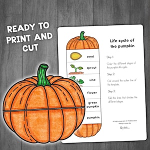 Pumpkin Life Cycle Activity Craft | Life Cycle of a Pumpkin | Halloween ...