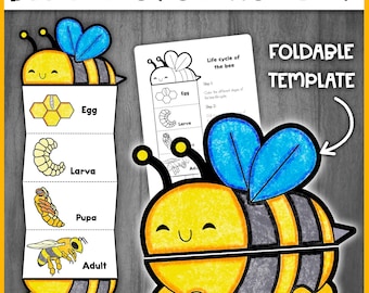 Bee Life Cycle Learning Activity for Kids | Foldable Craft Activity ...