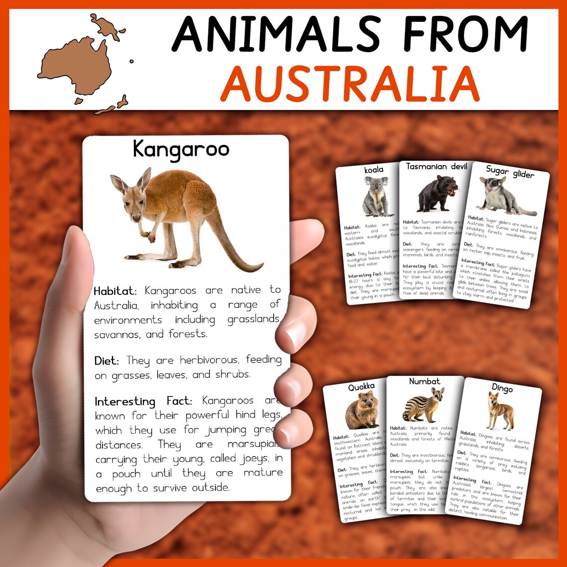 Australian Animals | Animals From Australia Flashcards | Animals From ...