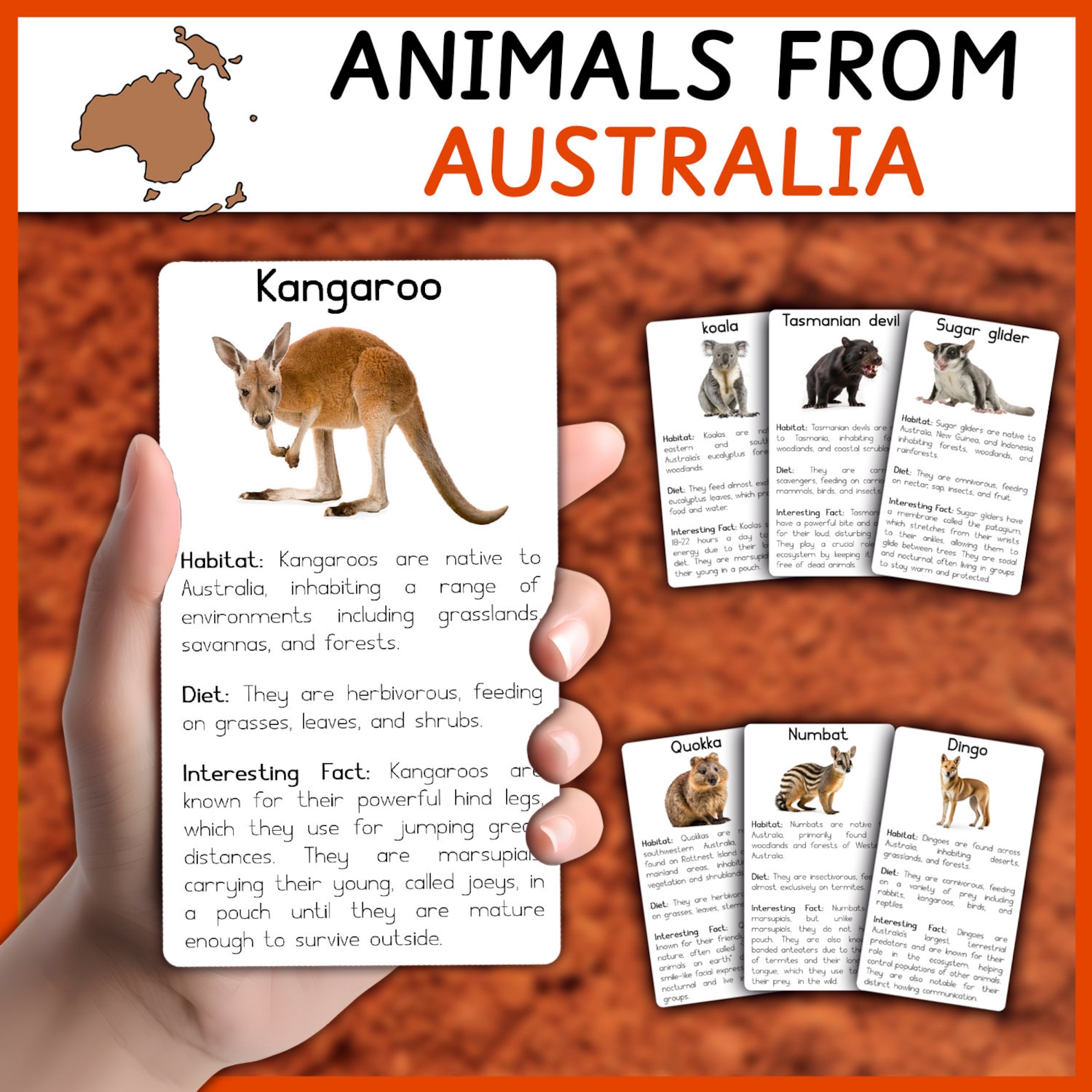 Australian Animals | Animals From Australia Flashcards | Animals From ...