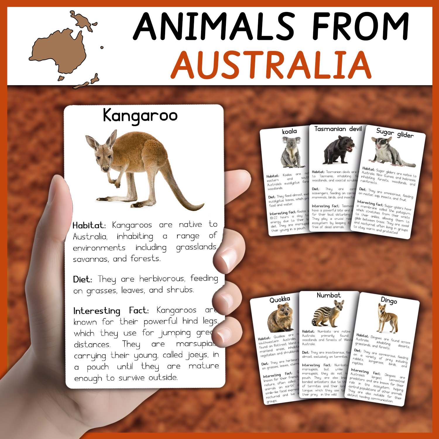 Australian Animals | Animals From Australia Flashcards | Animals From ...