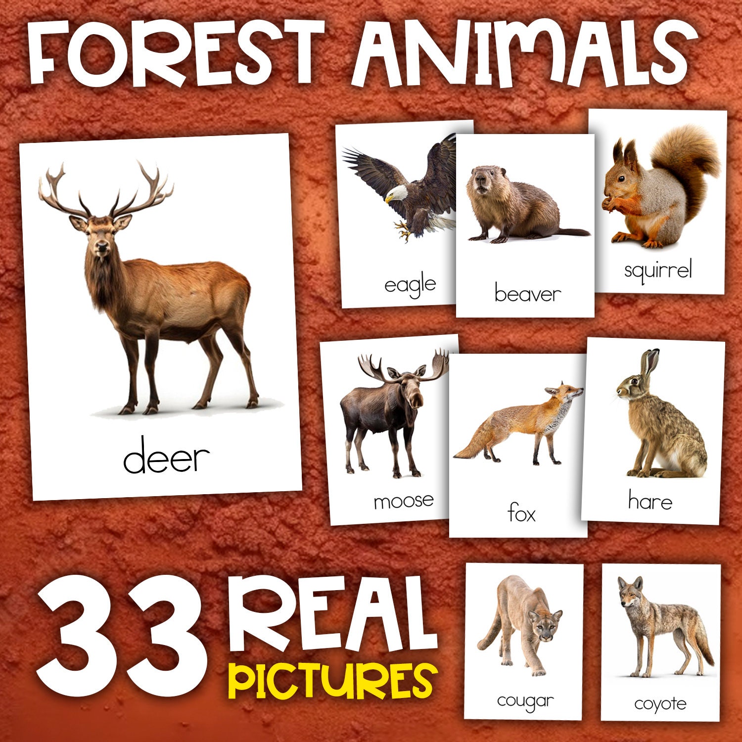 Forest Animals Flashcards | Montessori 3-part Cards | Forest Animals ...