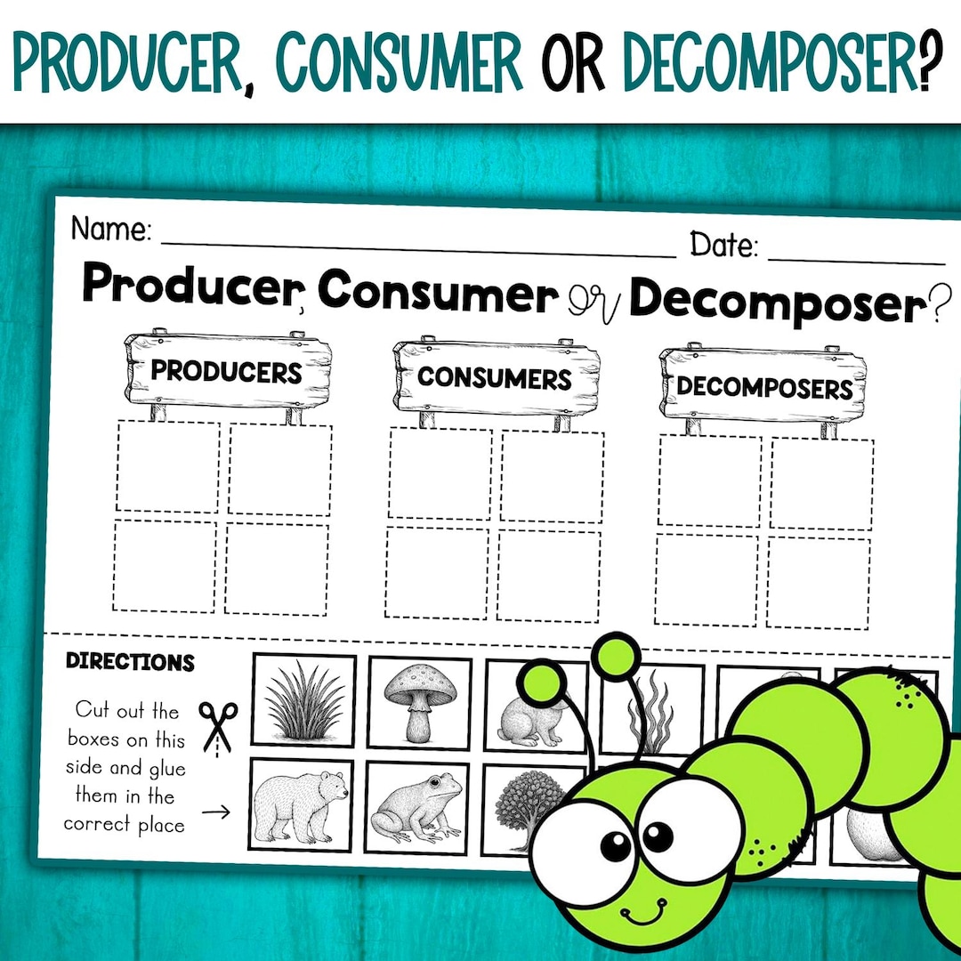 Producer Consumer Decomposer Sorting Activity | Food Chains and Food ...