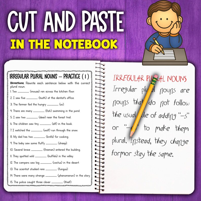 Irregular Plural Nouns Worksheet Activity | Irregular Plural Nouns ...