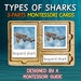 Types of Sharks Cards Types of Sharks Montessori Cards Montessori ...