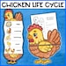 Chicken Life Cycle Activity | Chicken Craft Foldable Template | Life ...