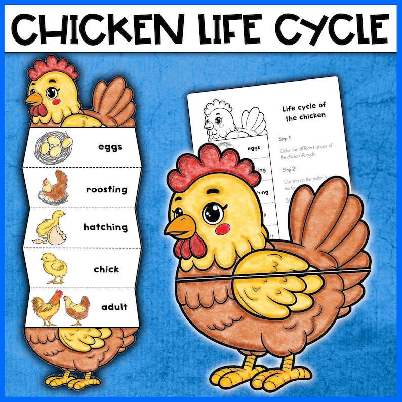 Chicken Life Cycle Activity | Chicken Craft Foldable Template | Life ...