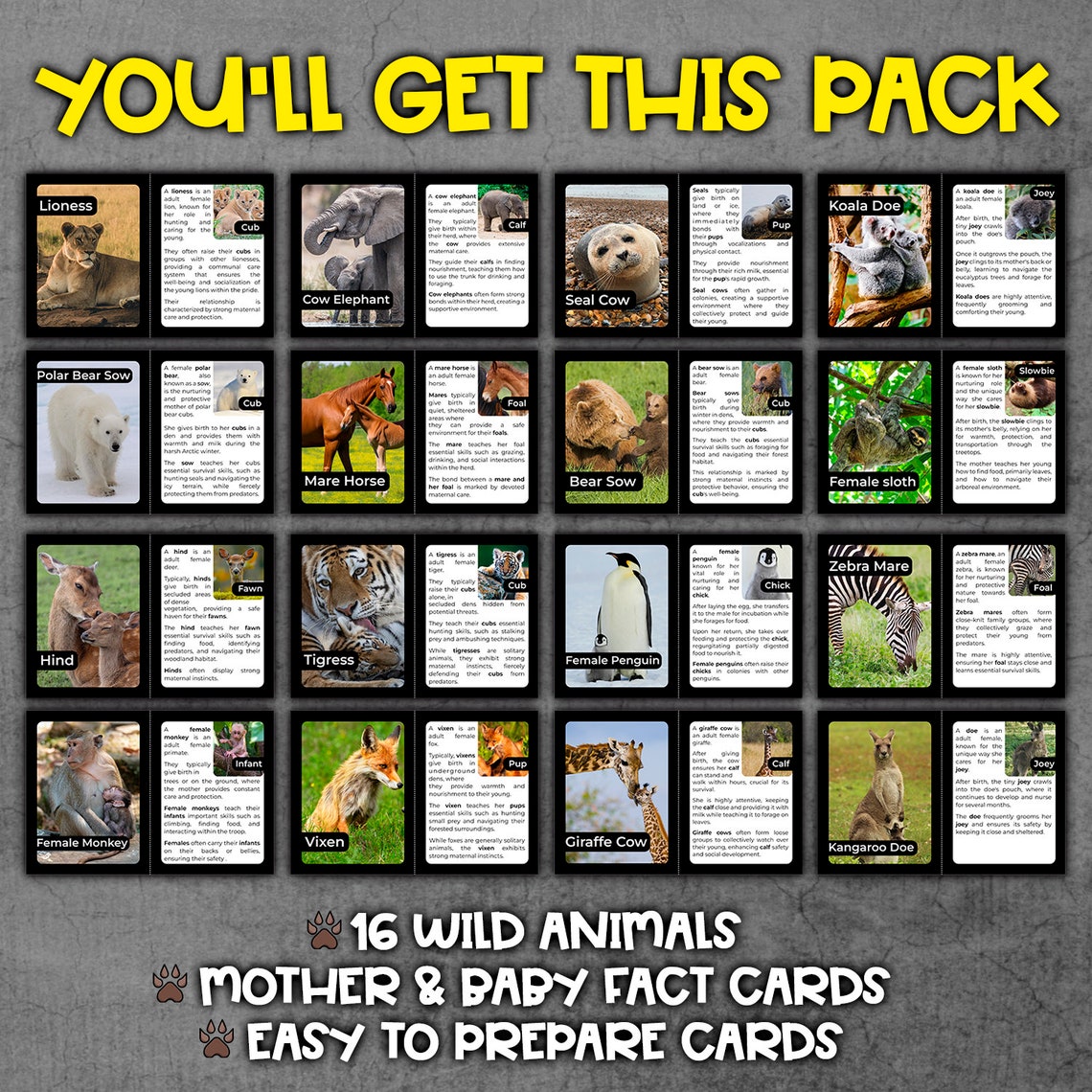 Mother and Baby Wild Animals Fact Cards Mother and Baby Animals Flash ...