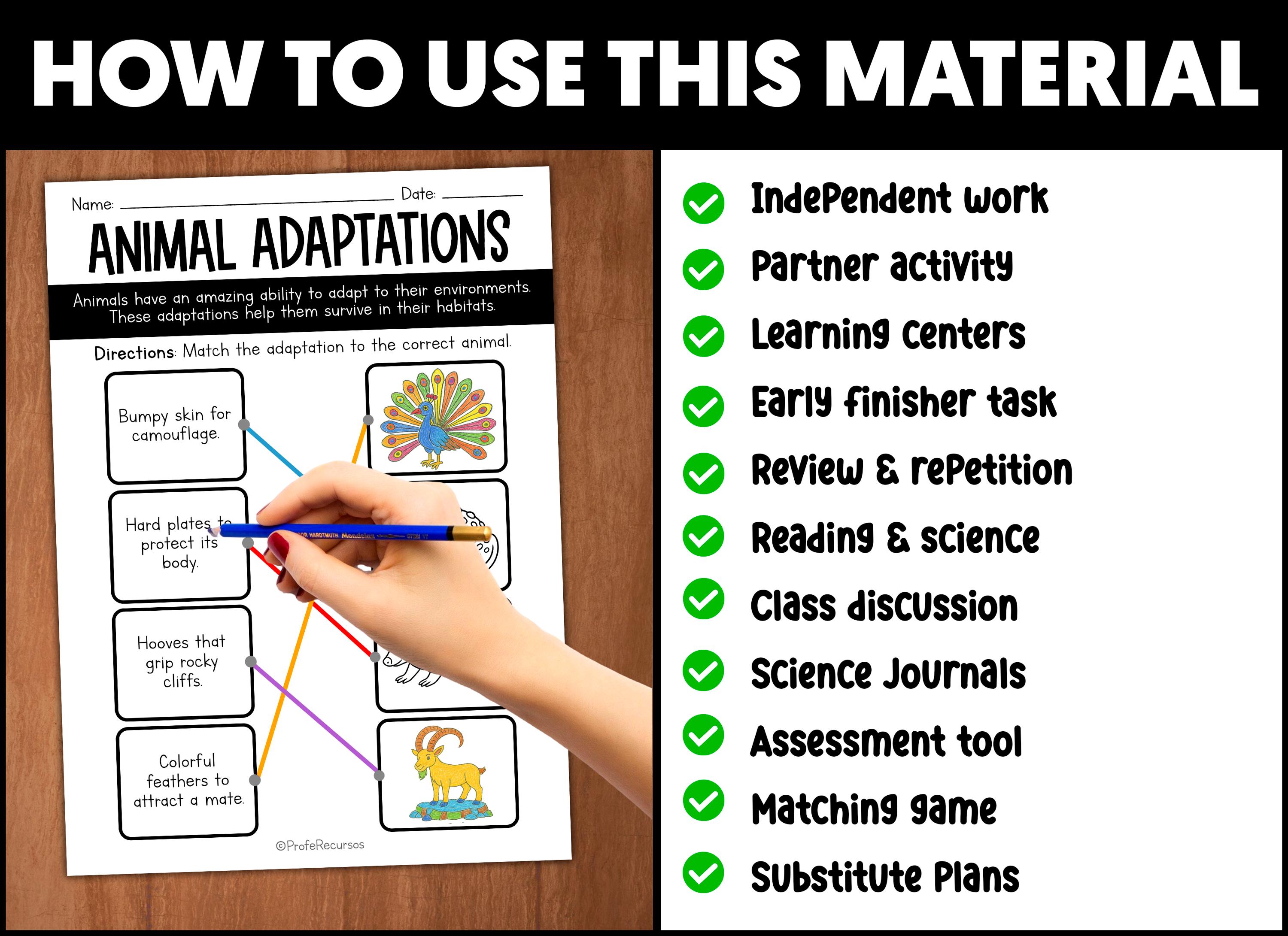 Animal Adaptations Behavior Matching Worksheet | Animal Adaptation ...