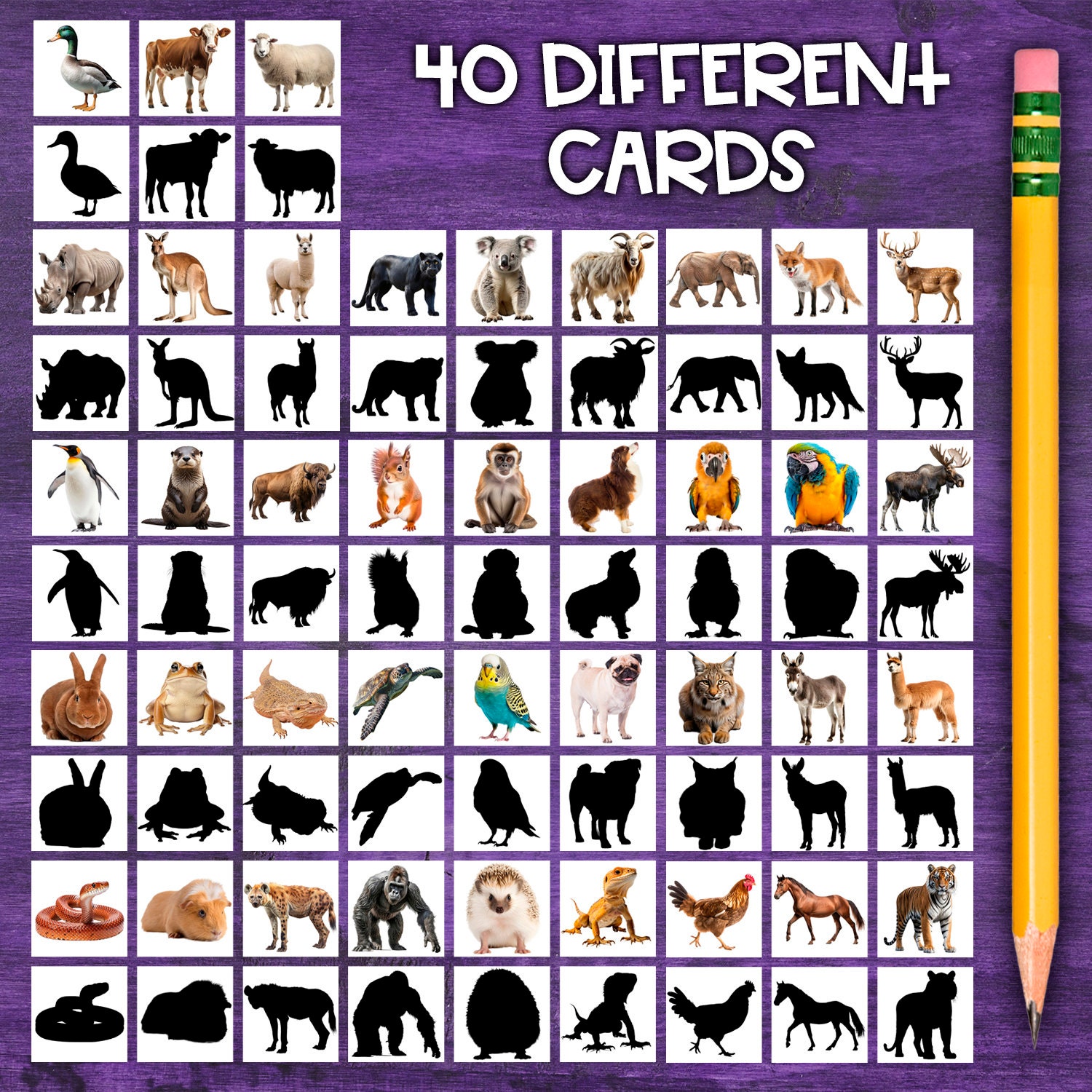 Animals Shadow Matching Cards | Shadow Match Activity | Animal Shapes ...
