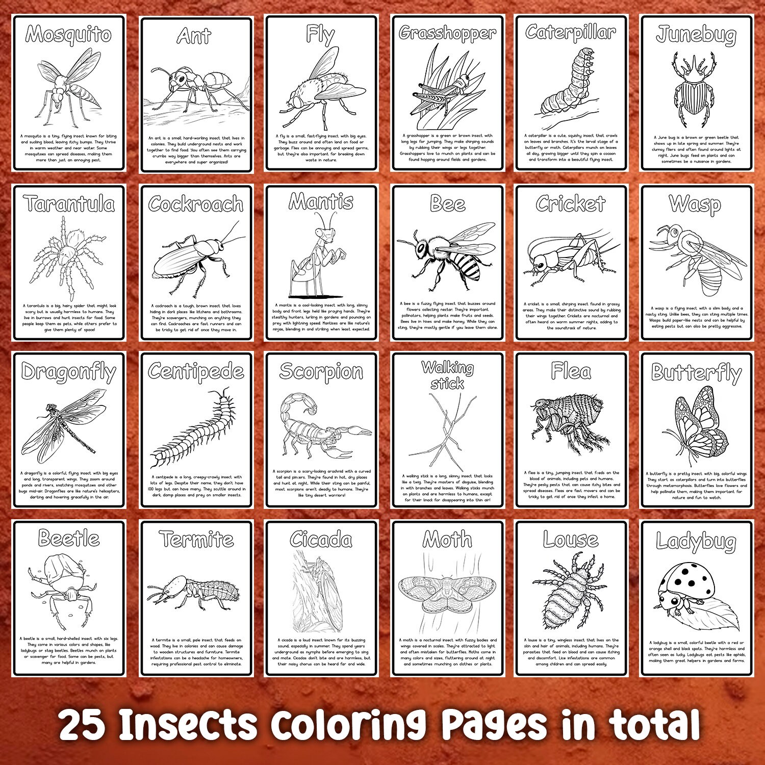 Insects Coloring Pages for Kids | Bugs Coloring Pages for Kids ...