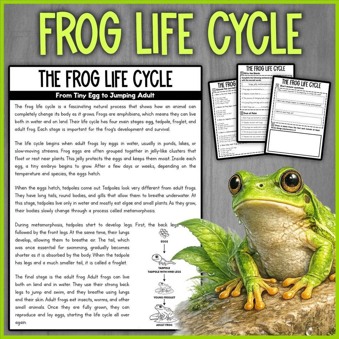 FROG LIFE CYCLE Reading Comprehension + Worksheets | Life Cycle of a ...