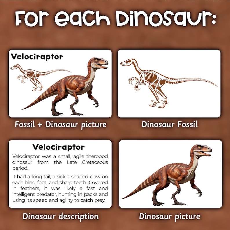 Dinosaur Fossil Matching | Montessori Dinosaurs | Dinosaurs Flashcards ...