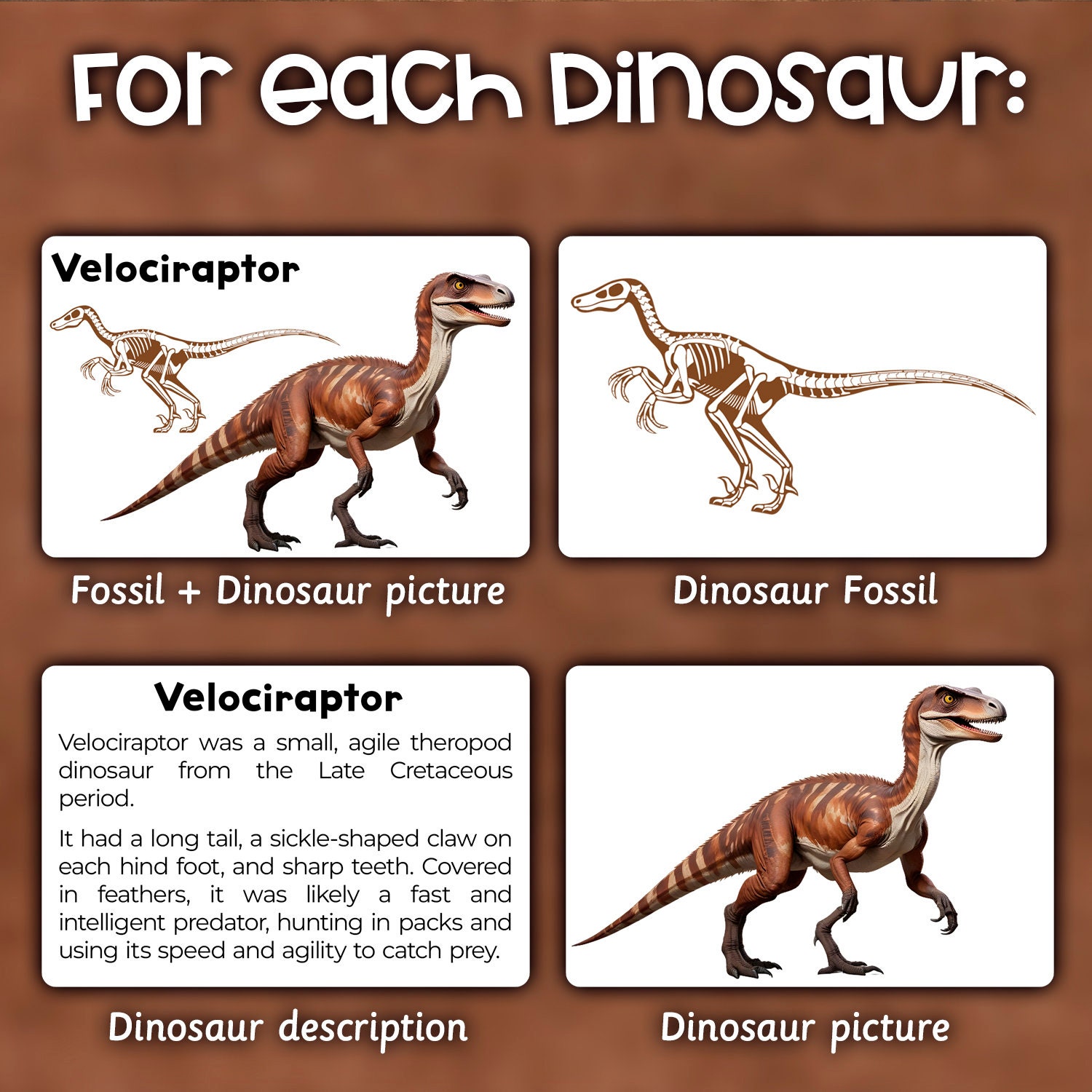 Dinosaur Fossil Matching | Montessori Dinosaurs | Dinosaurs Flashcards ...