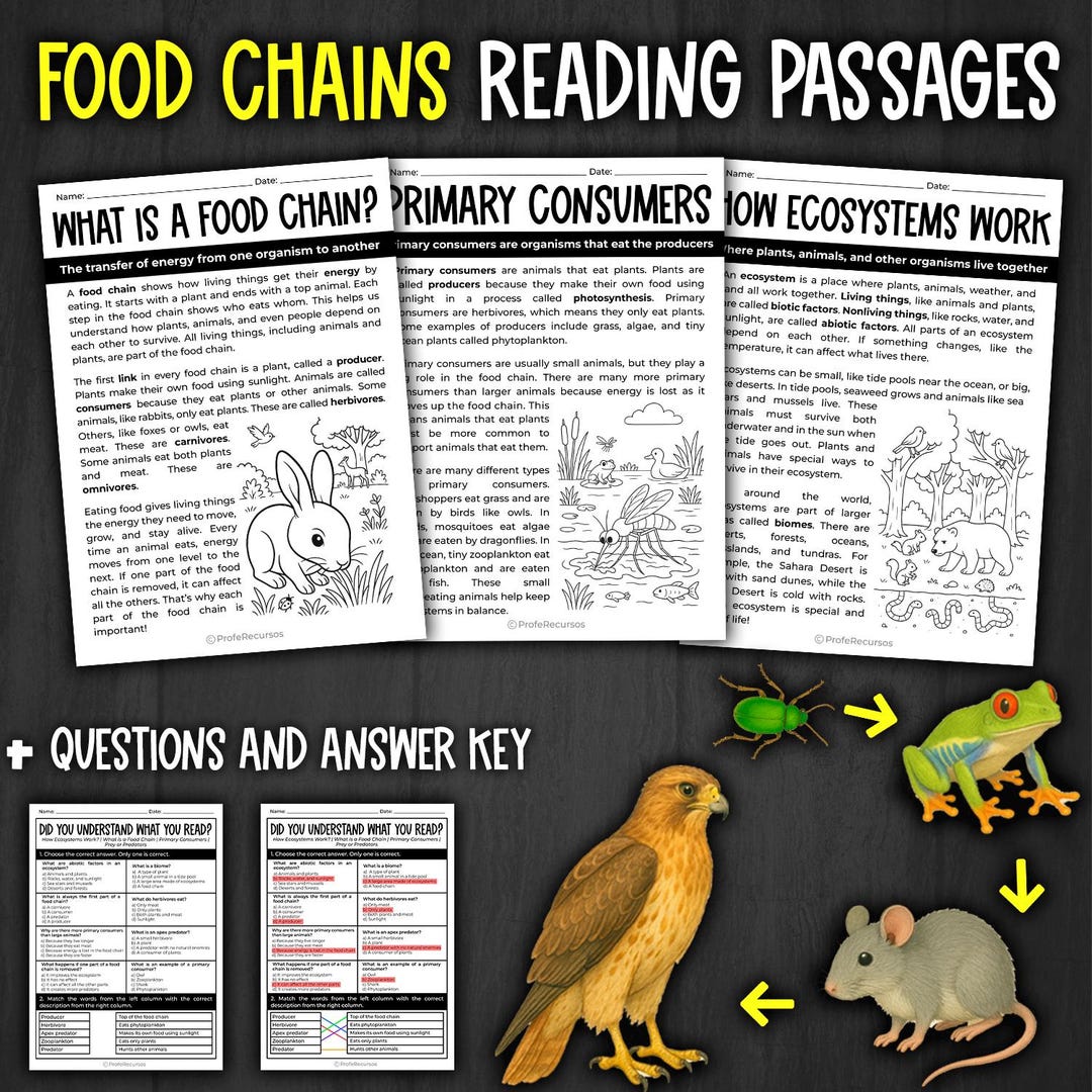 Food Chains and Food Webs Reading Passages | Comprehension Activities ...