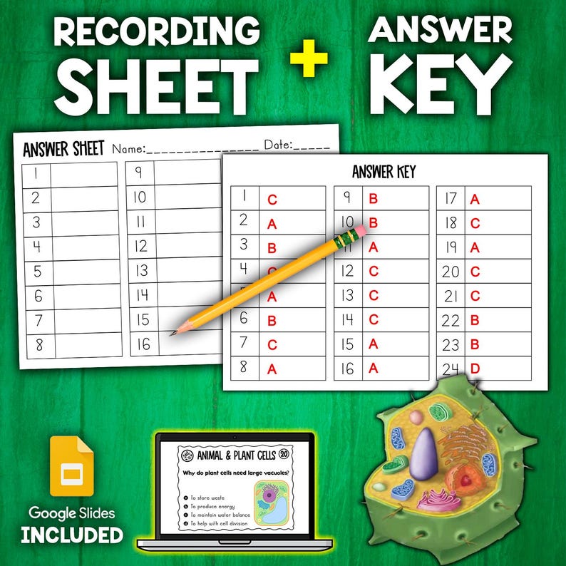 Plant and Animal Cell Activity | Organelles Structure and Cell ...