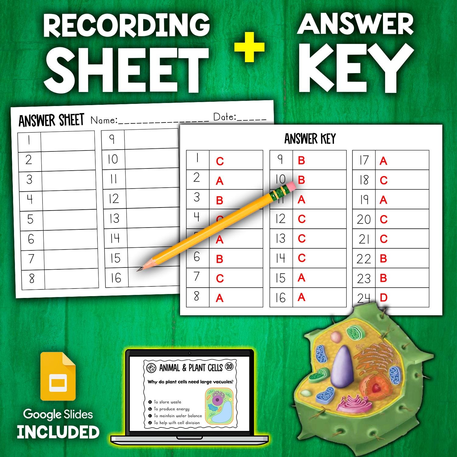 Plant and Animal Cell Activity | Organelles Structure and Cell ...