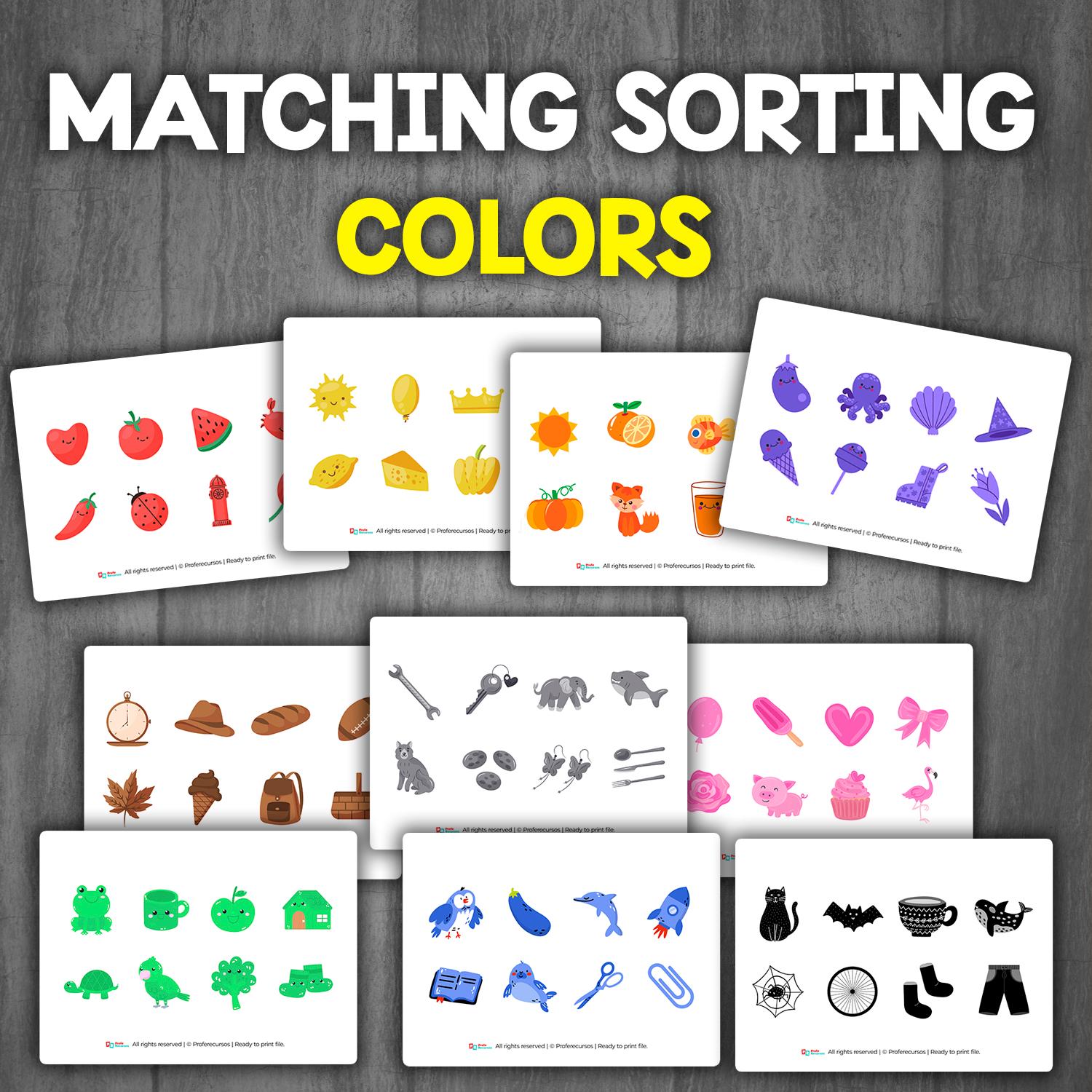 Color Sorting Activity Color Matching Activity | Learning Colors ...