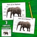 Elephant Anatomy Parts Elephants Parts of an Elephant Diagram Elephant ...