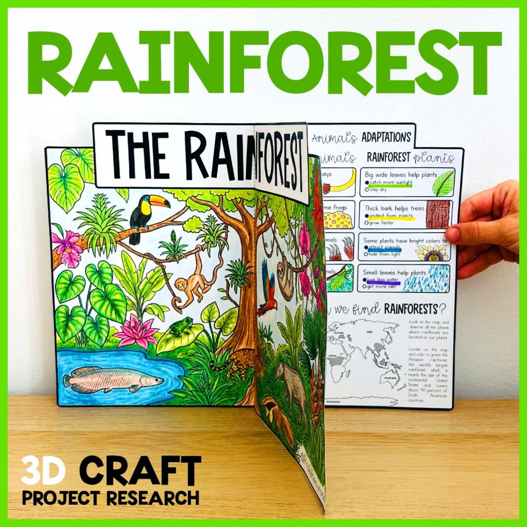 RAINFOREST Habitat | 3D Craft Activity | Biomes Hands-on Science ...
