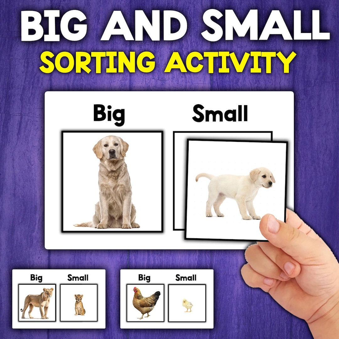 Big and Small Sorting Activity | Sorting by Size Activity | Basic ...