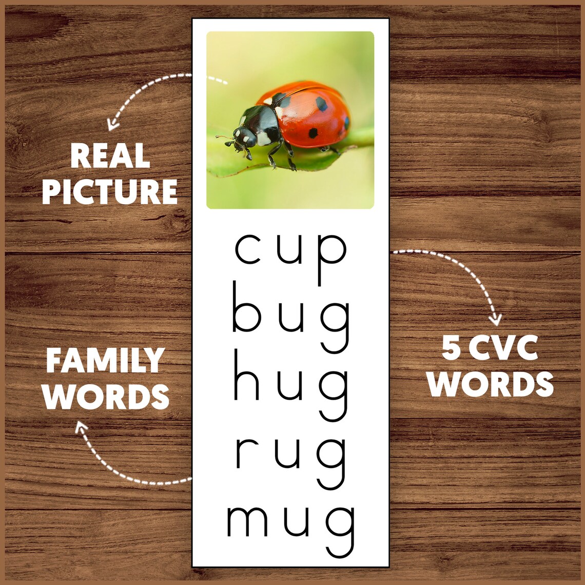 CVC Word Families CVC and Phonics Reading Activities Phonics Reading ...
