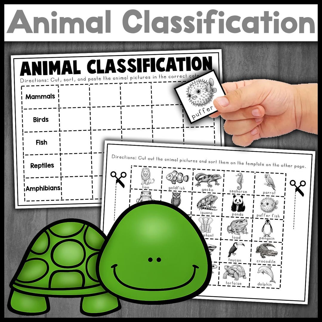 Animal Classification Sort | Mammals, Birds, Fish, Reptiles, and ...