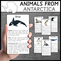 Musk Ox Craft, Kids Printable Craft Template, Arctic Animals, Winter ...
