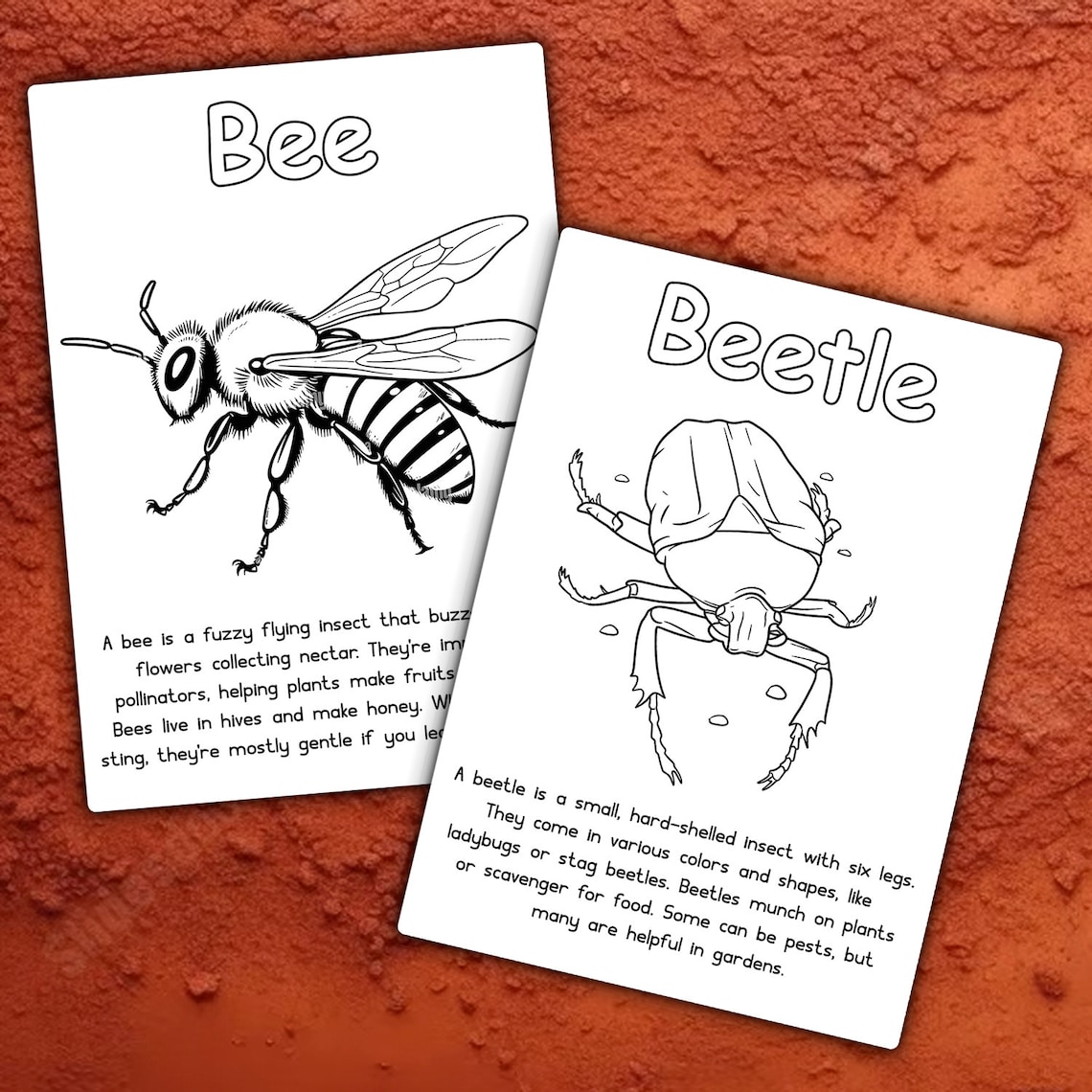 Insects Coloring Pages for Kids | Bugs Coloring Pages for Kids ...