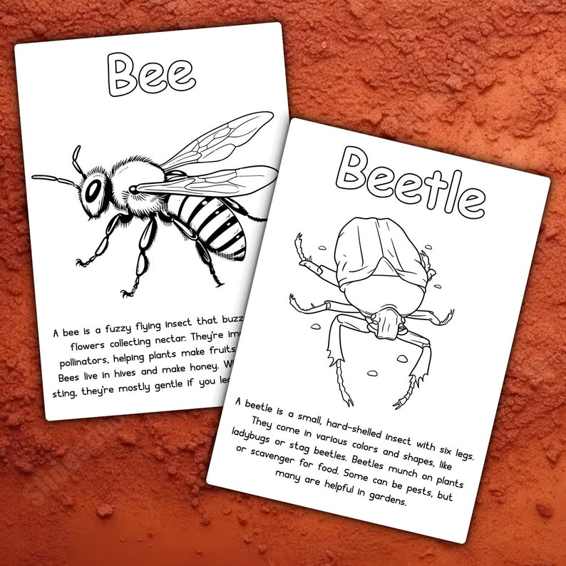 Insects Coloring Pages for Kids | Bugs Coloring Pages for Kids ...