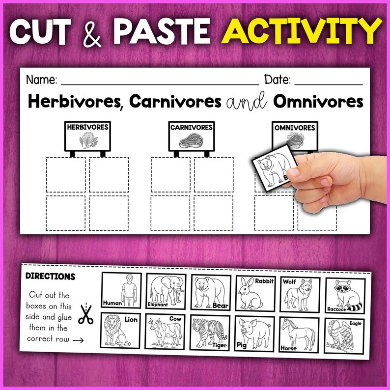 Animal Classification Worksheet | Herbivores Carnivores Omnivores ...