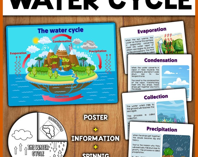 Water Cycle Anchor Chart - Etsy