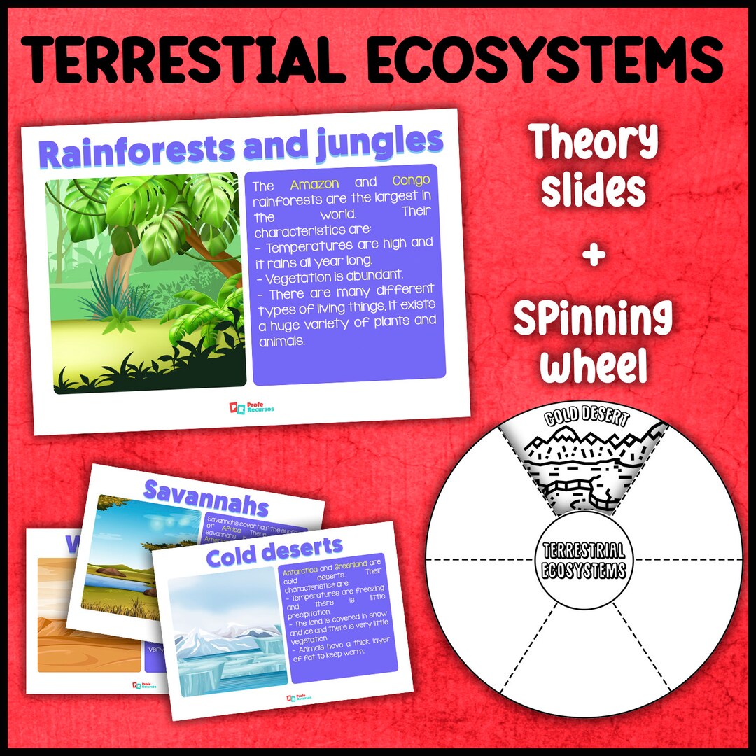 Terrestrial Ecosystems and Biomes | Theory + Craft (spinning Wheel ...