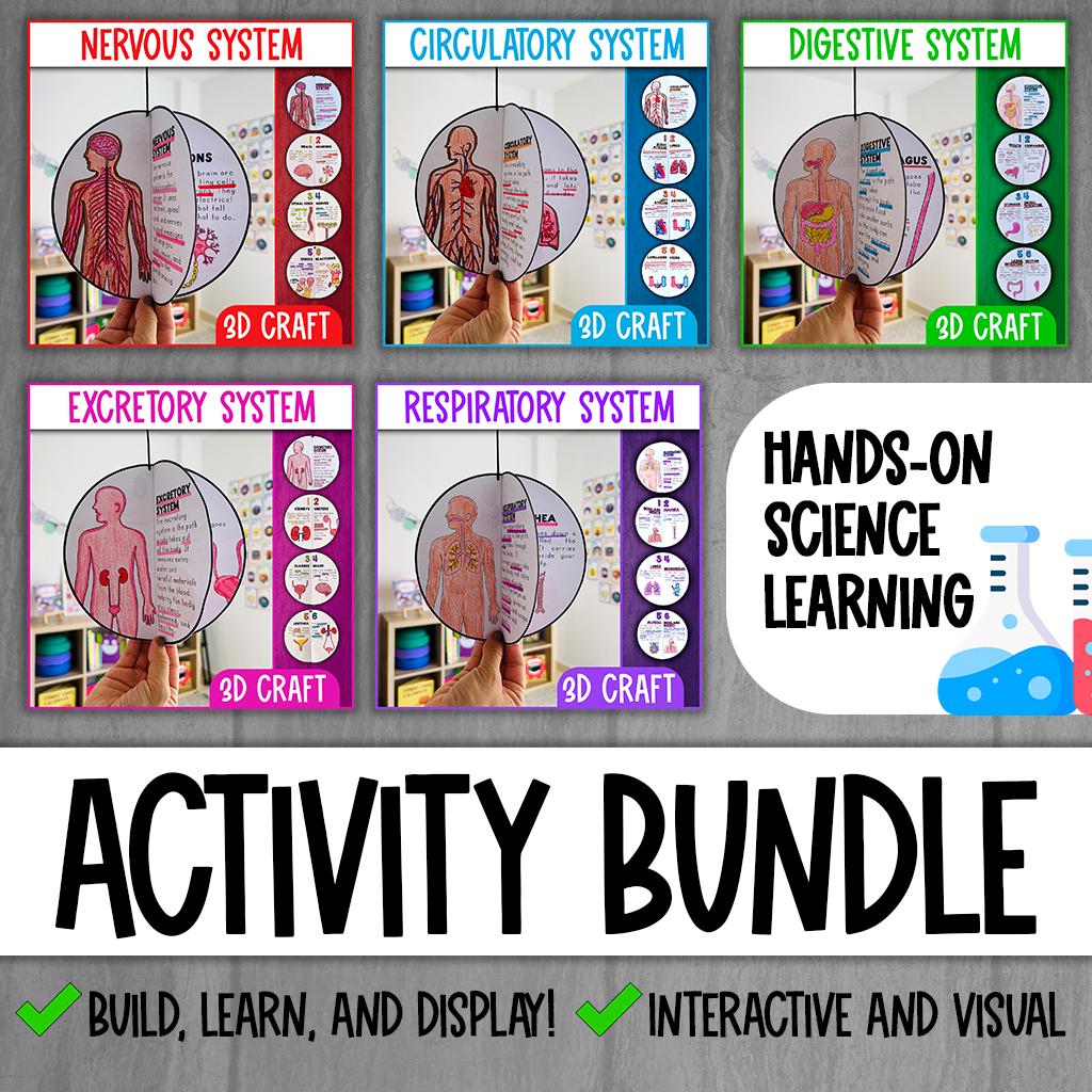 Human Body Systems Science Activities | Science 3D Craft Activity ...