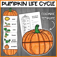 PUMPKIN Unit Study, Life Cycle, Anatomy, Nature Study, Science ...