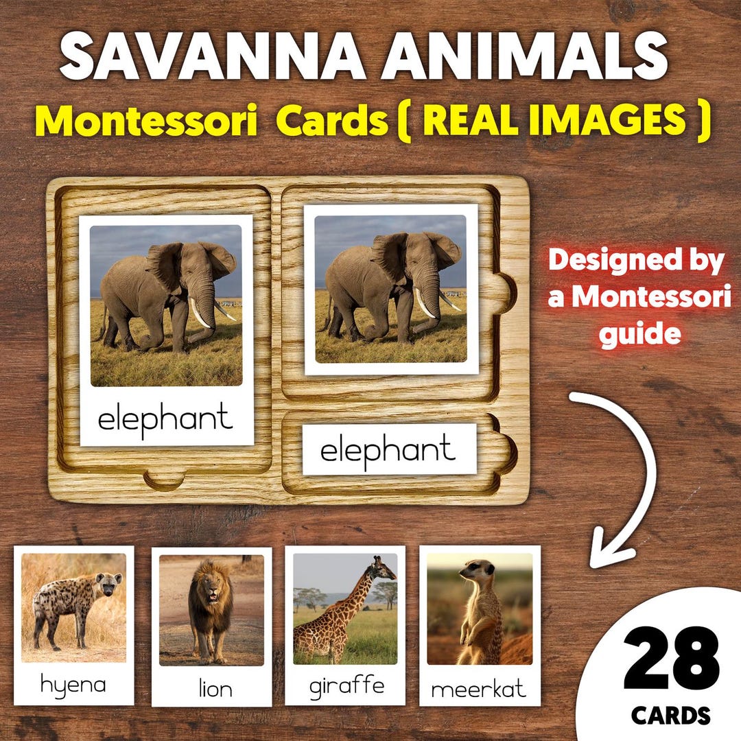 Savanna Animals Montessori 3-part Cards Montessori Animal Flashcards ...